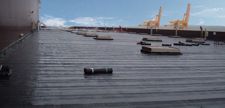 Roof Repair Case Study | ESB Moneypoint Power Station