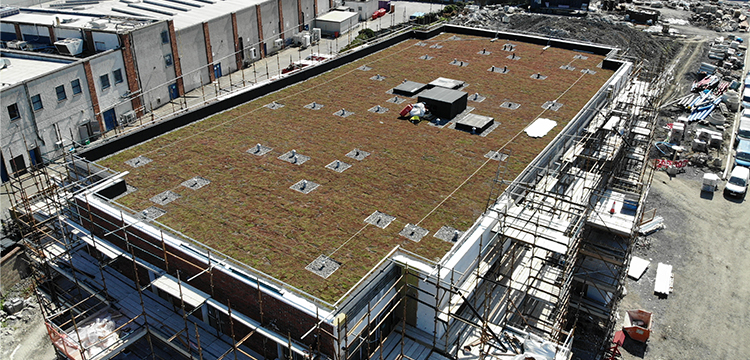 Residential Apartment Block Roof Project - Somerton, Lucan | Laydex